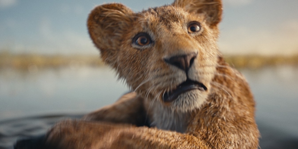 Mufasa: Il re leone supera i 13M dopo il weekend 26-29/12/2024 – CineGuru
